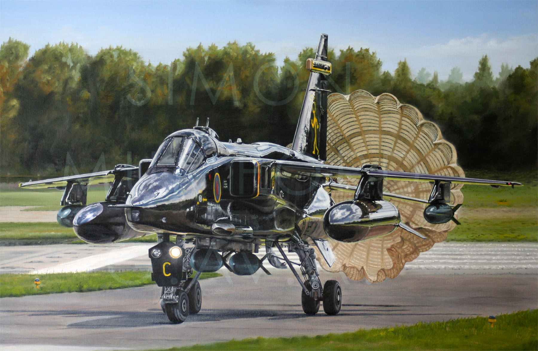 Black Cat | Simon Mumford Aviation Art